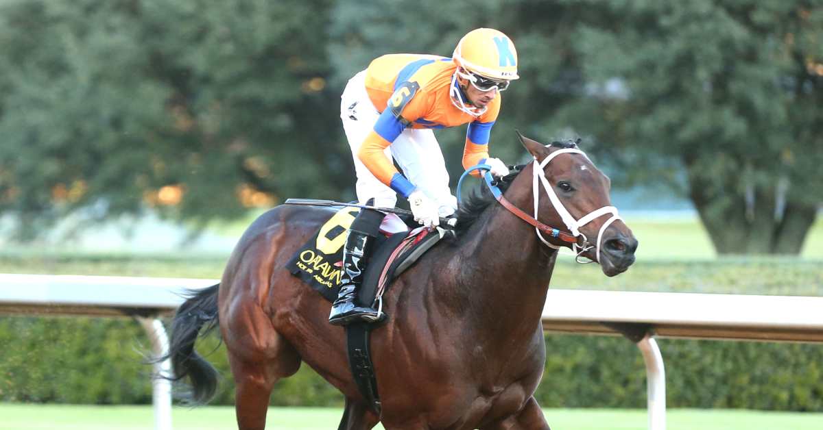 Kale’s Angel Back On Turf In Dade Park Dash At Ellis - Paulick Report ...