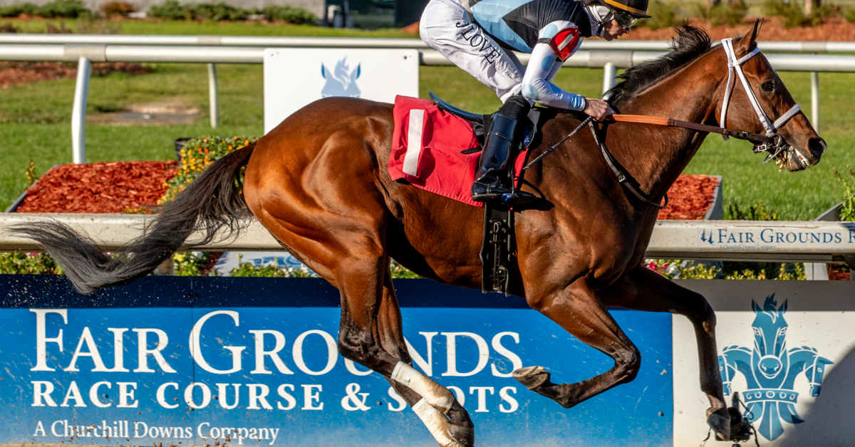 Built Getting A Breather At WinStar Farm, Malibu Stakes The Long-Term ...