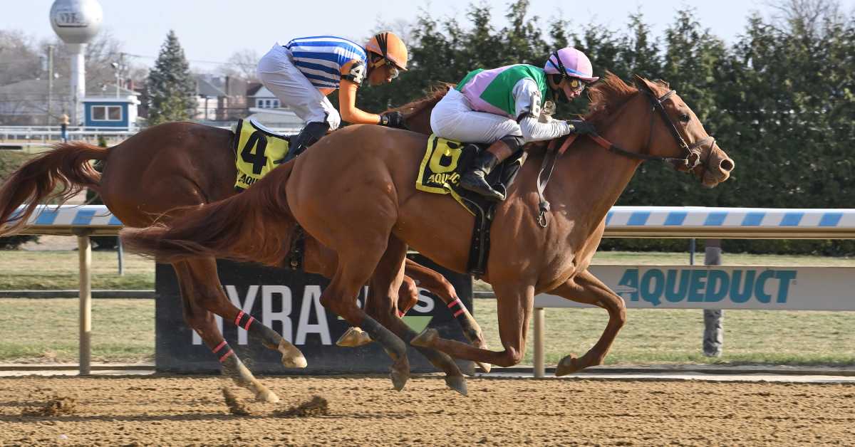 Juddmonte's Ramify Adds Intrigue To Busanda Field - Paulick Report ...