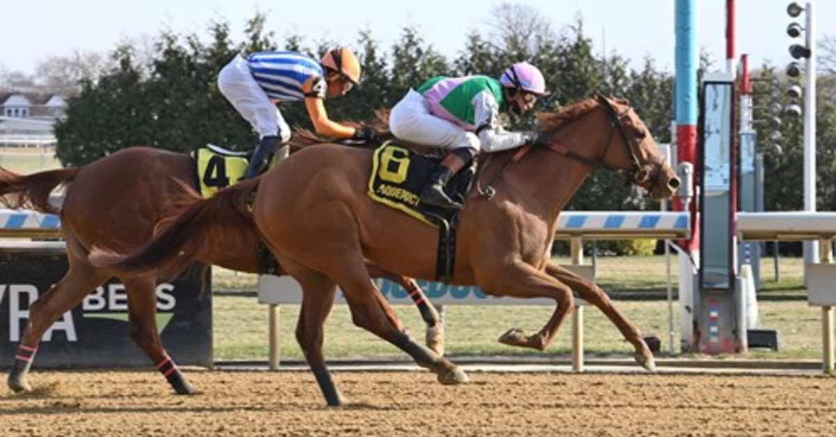 Ramify Hopes To Build On Legacy Of Sightseek In Kentucky Oaks Prep ...