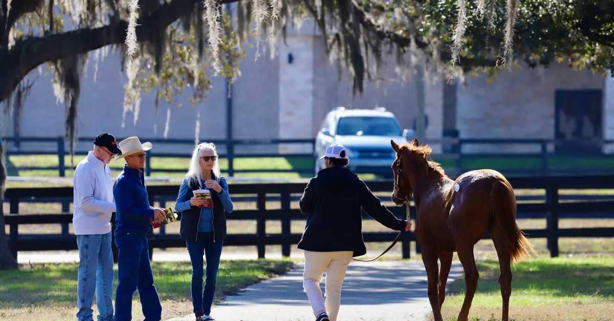 OBS Cancels Wednesday's Under Tack Show Due To Weather - Paulick Report ...