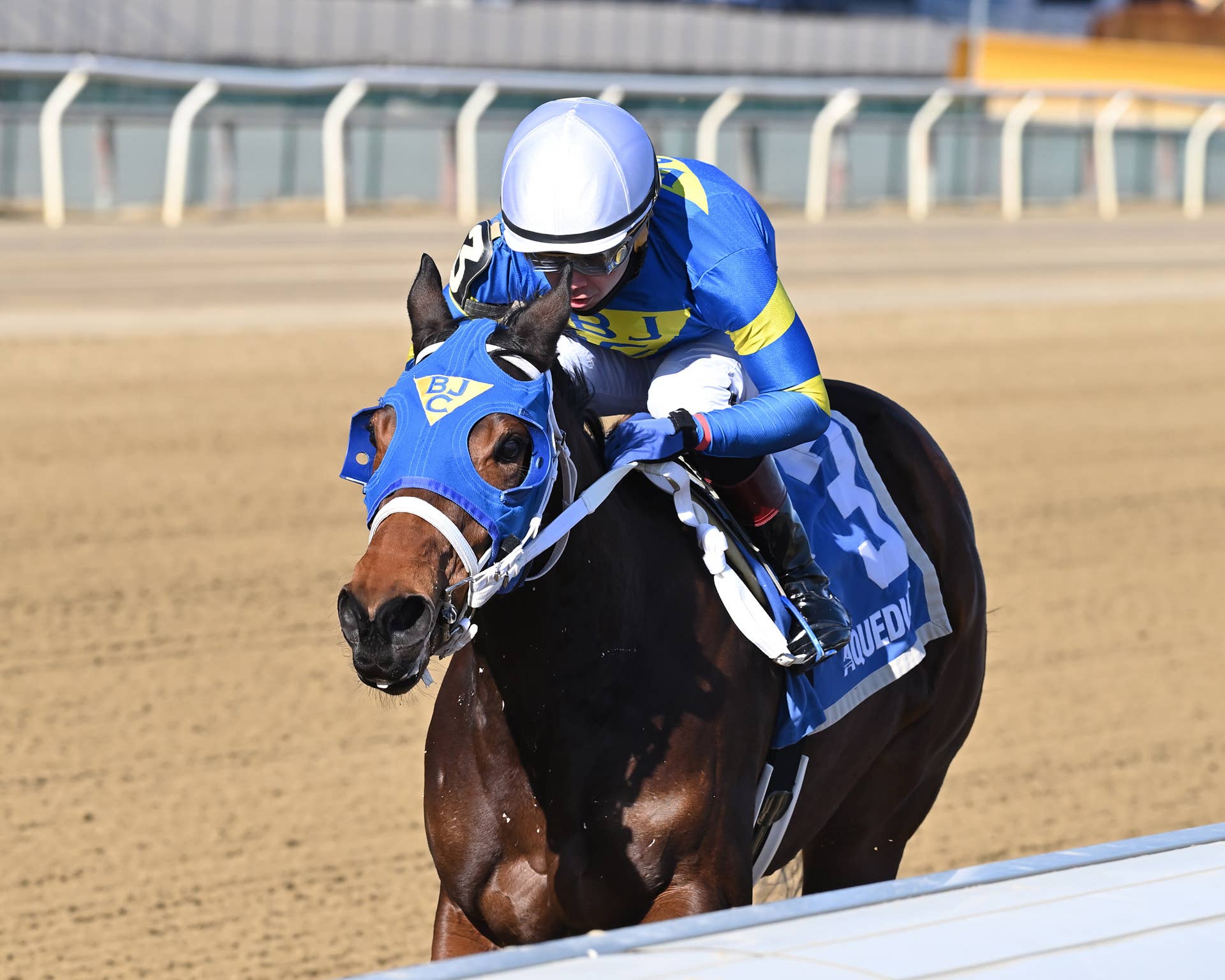 Volleyballprincess Romps Gate To Wire In 10-Length Ruthless Tour De ...