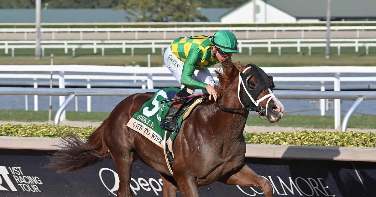 'These Munnings Run On Anything': Gate To Wire Rolls Home In Swale In ...