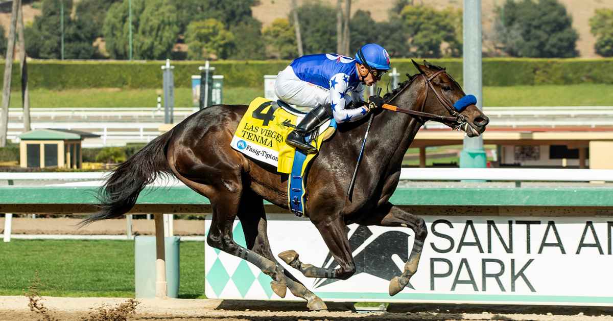 Tenma Faces Off With Streaking Om N Joy In Torrey Pines - Paulick ...