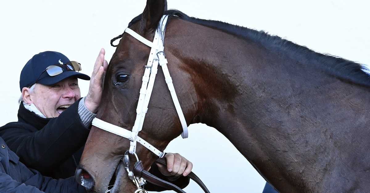 Weekend Lineup Presented By Pimlico Race Course: Decisions, Decisions ...