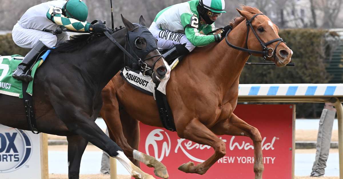 Sand Devil Stamps Himself Horse To Watch On Triple Crown Trail With ...