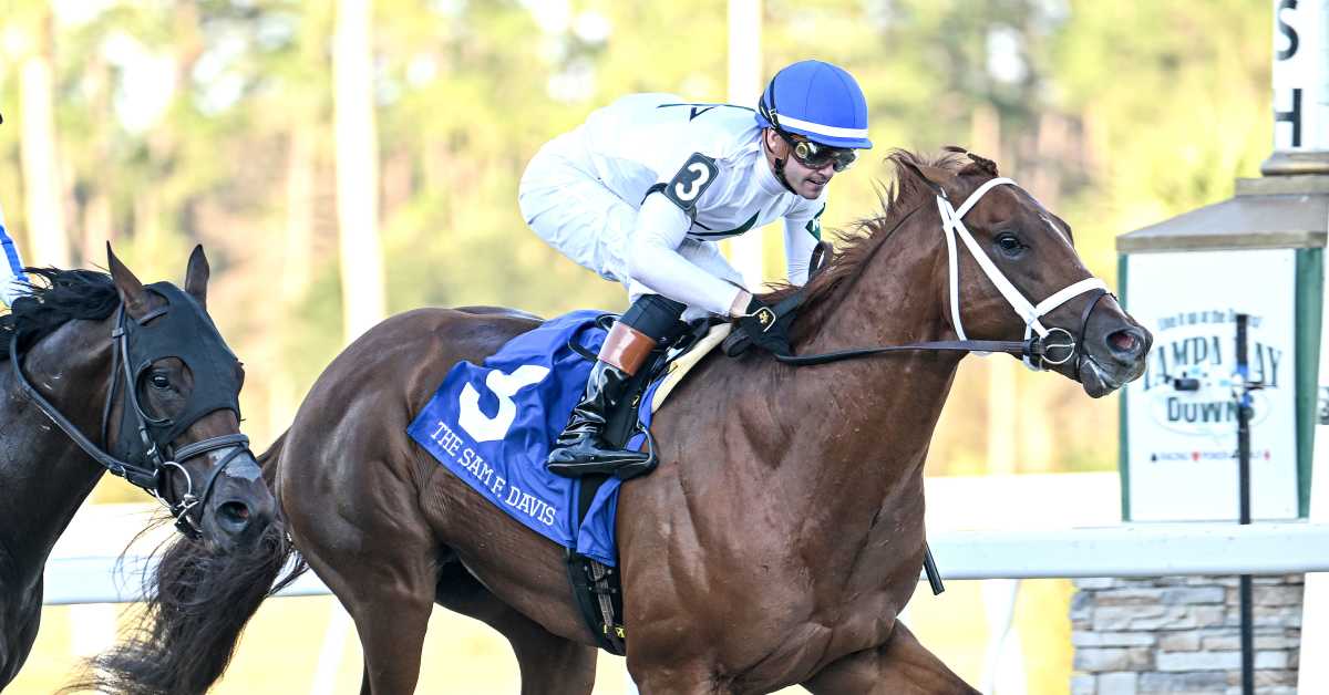 Game Pacesetter John Hancock Hangs On For Narrow Sam F. Davis Win ...