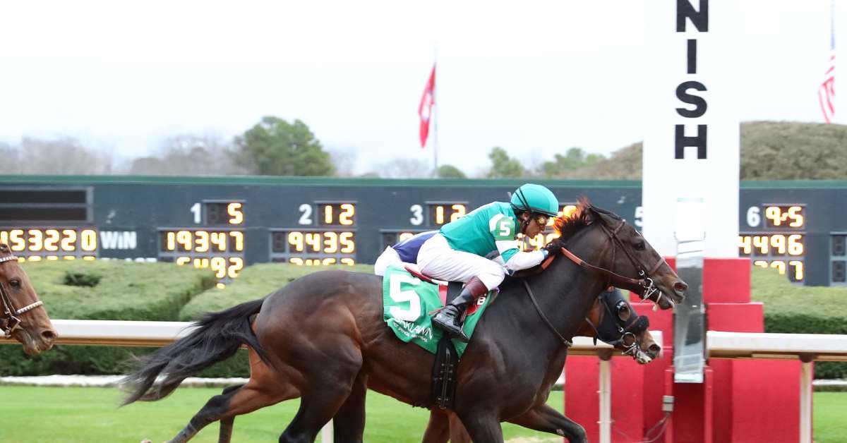 'More To Come From Him': Tom Amoss Mulls Next Start For Triple Crown ...