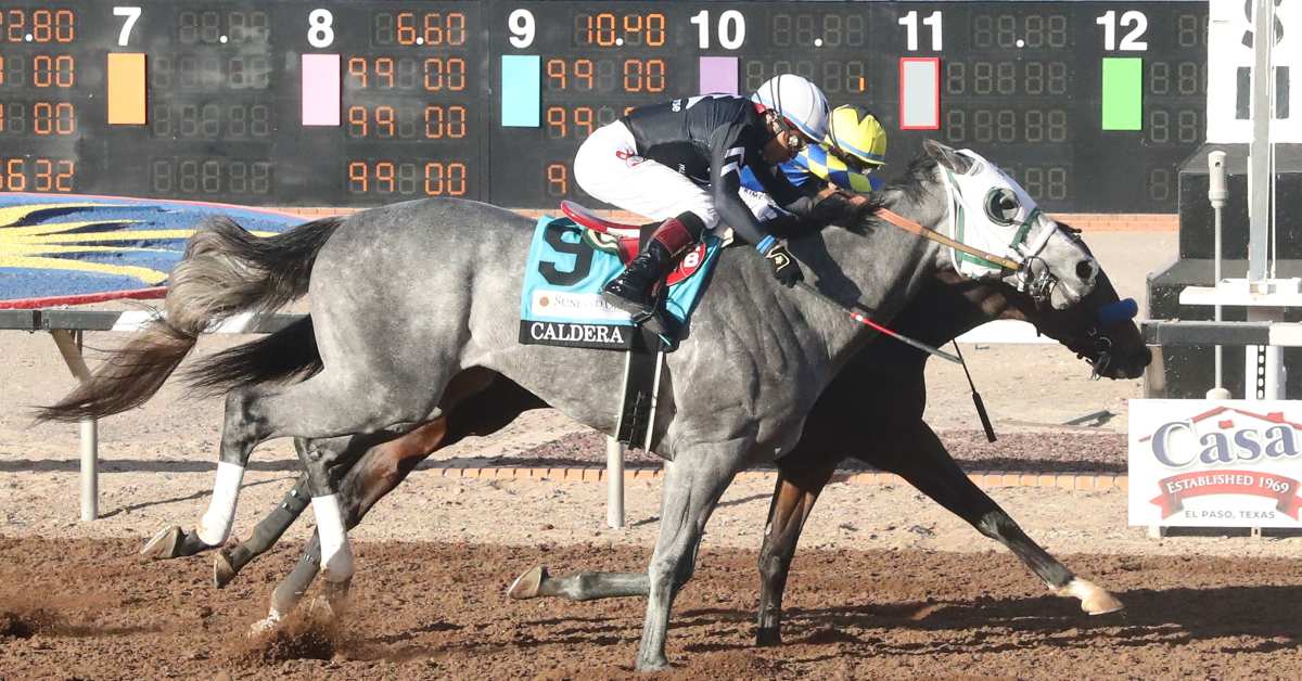 Wayne Lukas Reveals Derby Prep Plans For Trio - Paulick Report | Latest ...