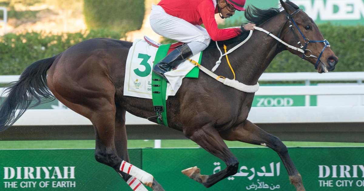 Local Rider Wins Saudi Arabia's International Jockeys' Challenge ...