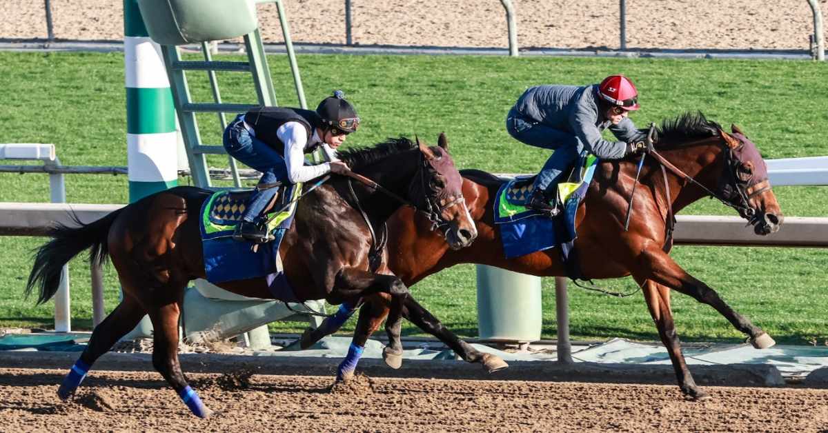 San Felipe Hopefuls Stretch Legs Sunday At Santa Anita - Paulick Report ...