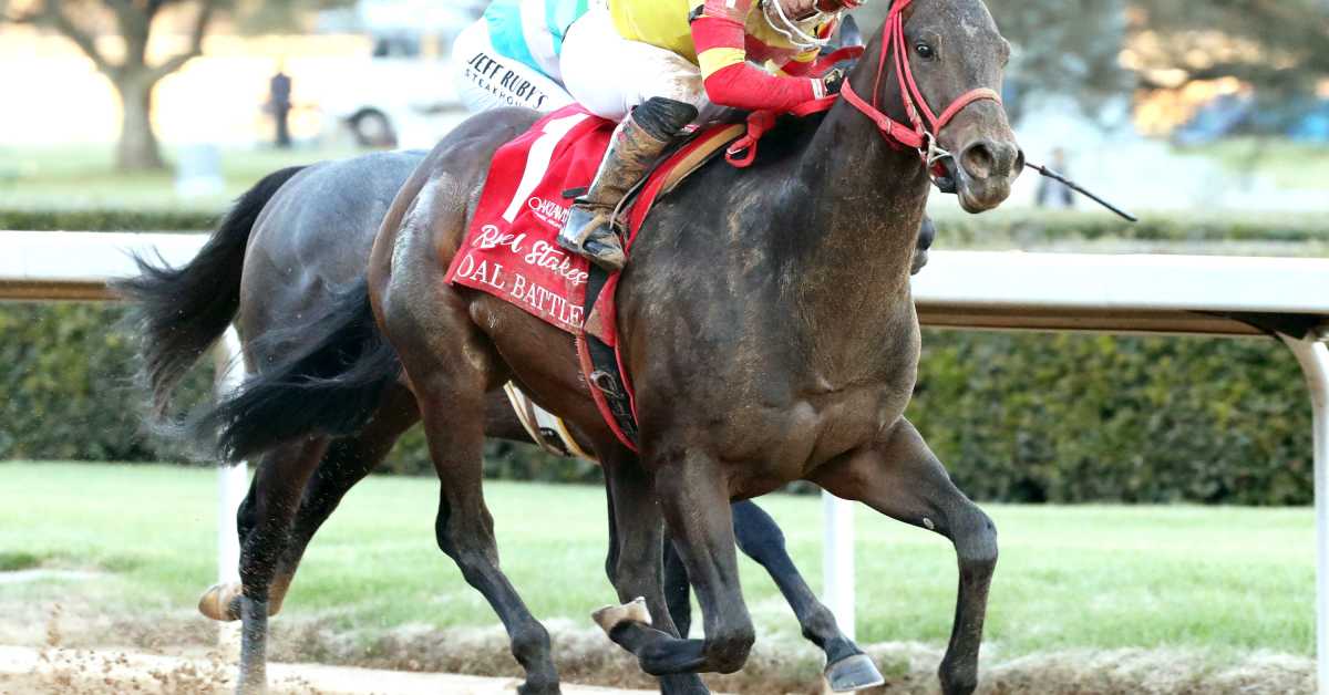 Coal Battle Outduels Madaket Road For Rebel Victory - Paulick Report ...