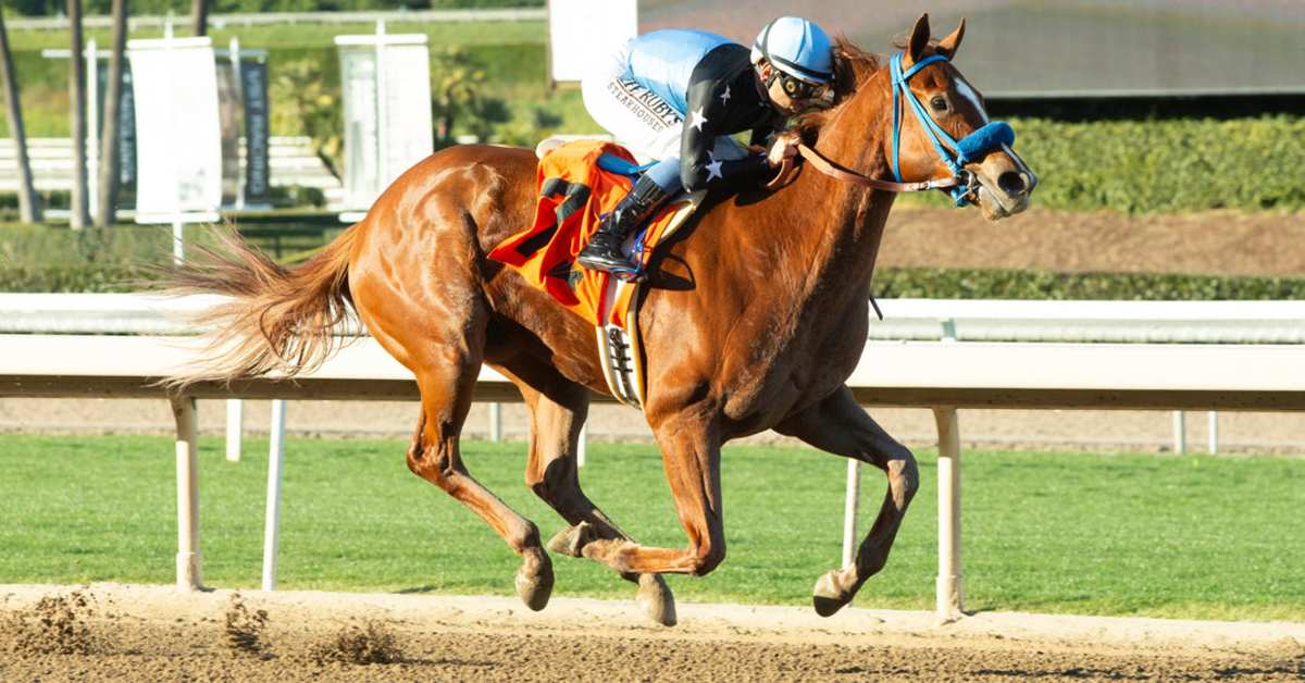 Eye-Catching Debut Winner Formula Rossa Could Target Santa Anita Oaks ...