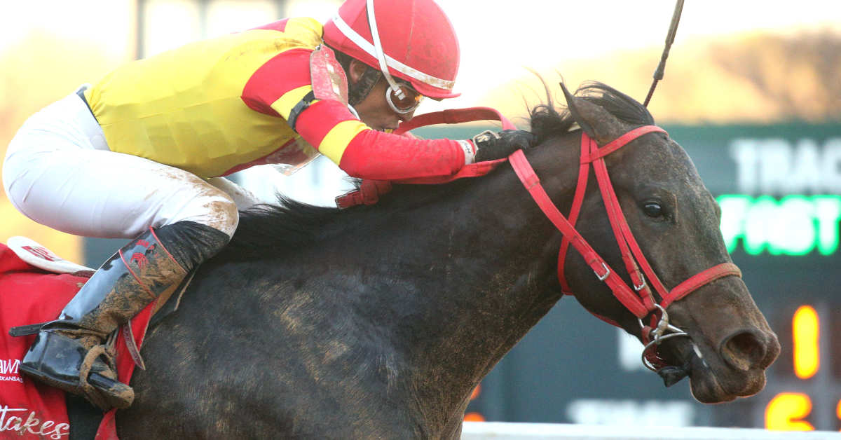 Bloodlines Presented By Walmac Farm: Coal Battle Breeders Wornall ...