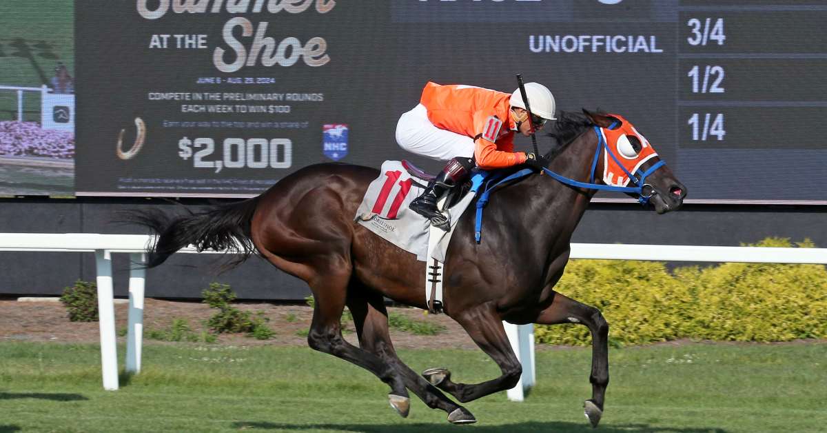 Dual-Surface Stakes Winner Demolisher Named Indiana's 2024 Horse Of The ...