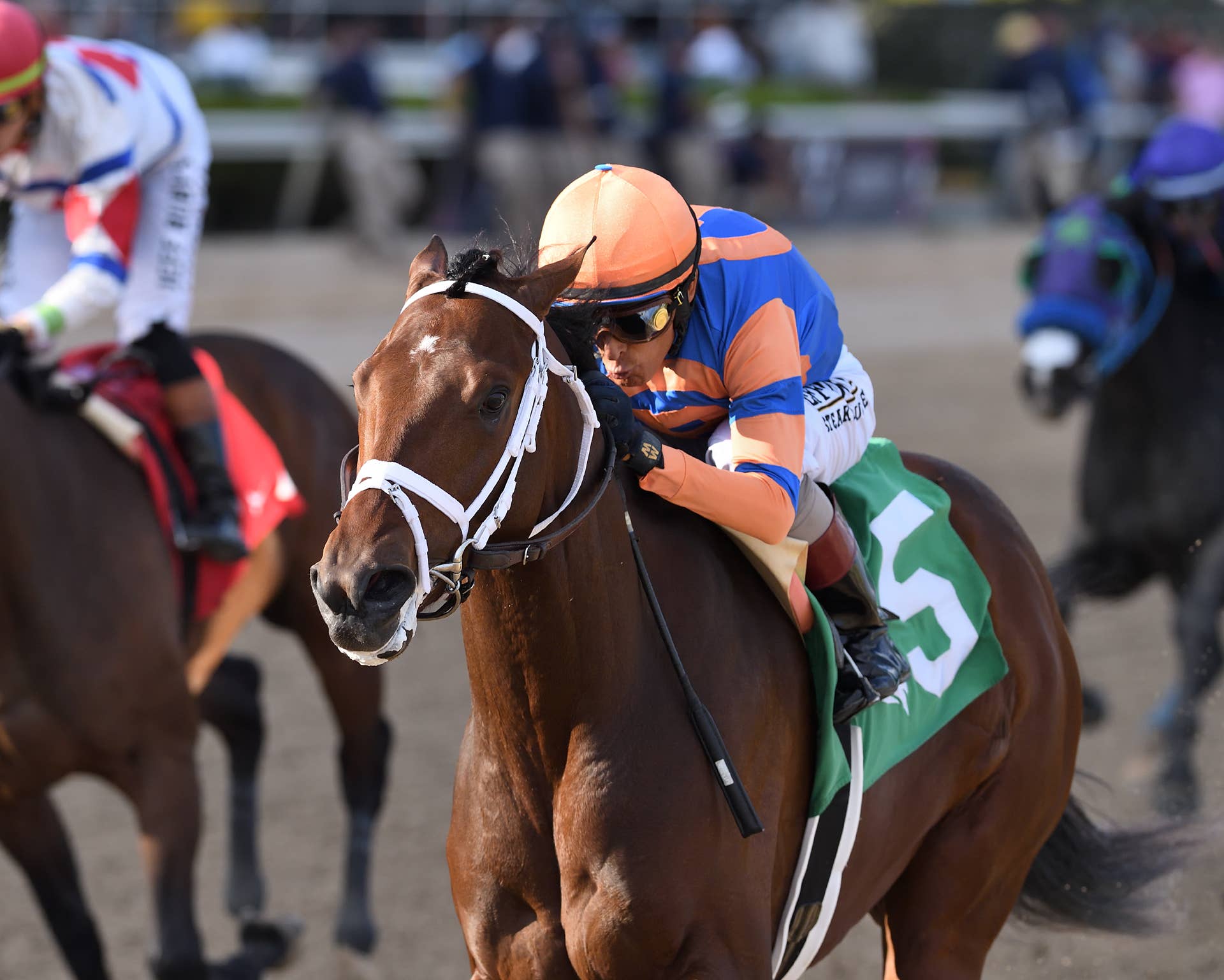 Triple Crown Nominee Grande Makes Big Splash In Gulfstream Allowance ...