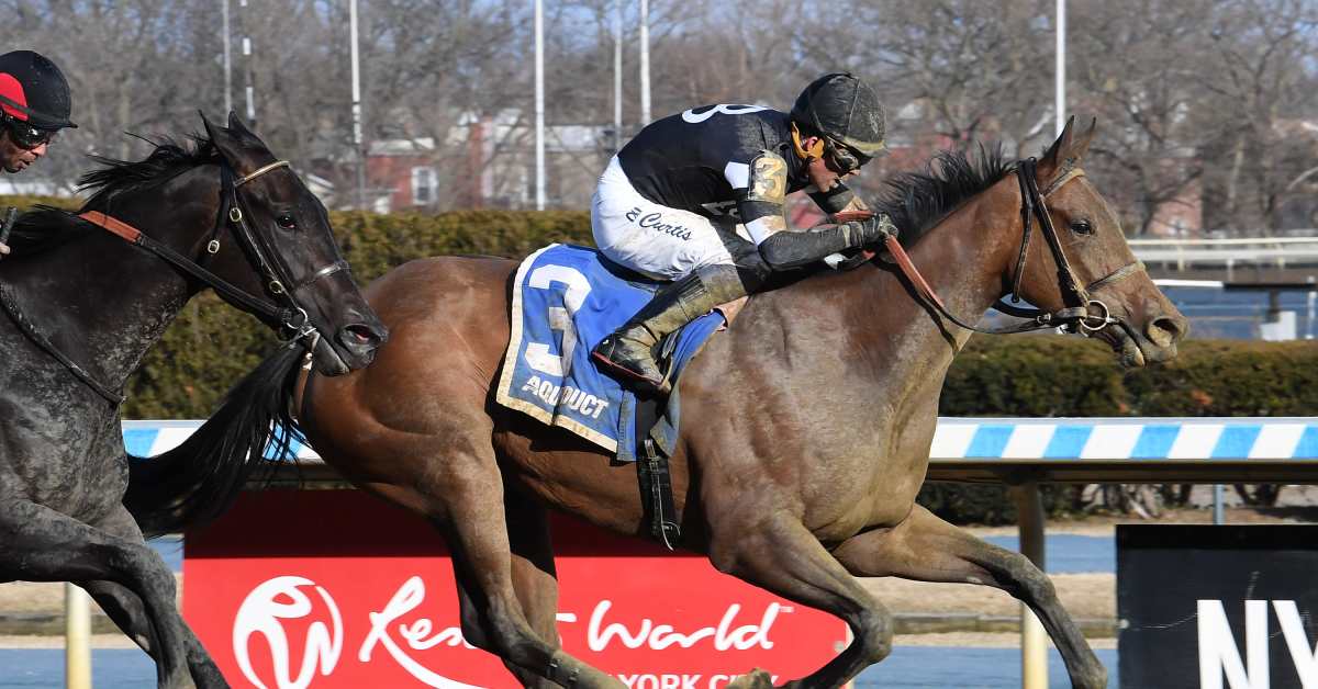 Determined Drexel Hill Proves Best In Busher - Paulick Report | Latest ...