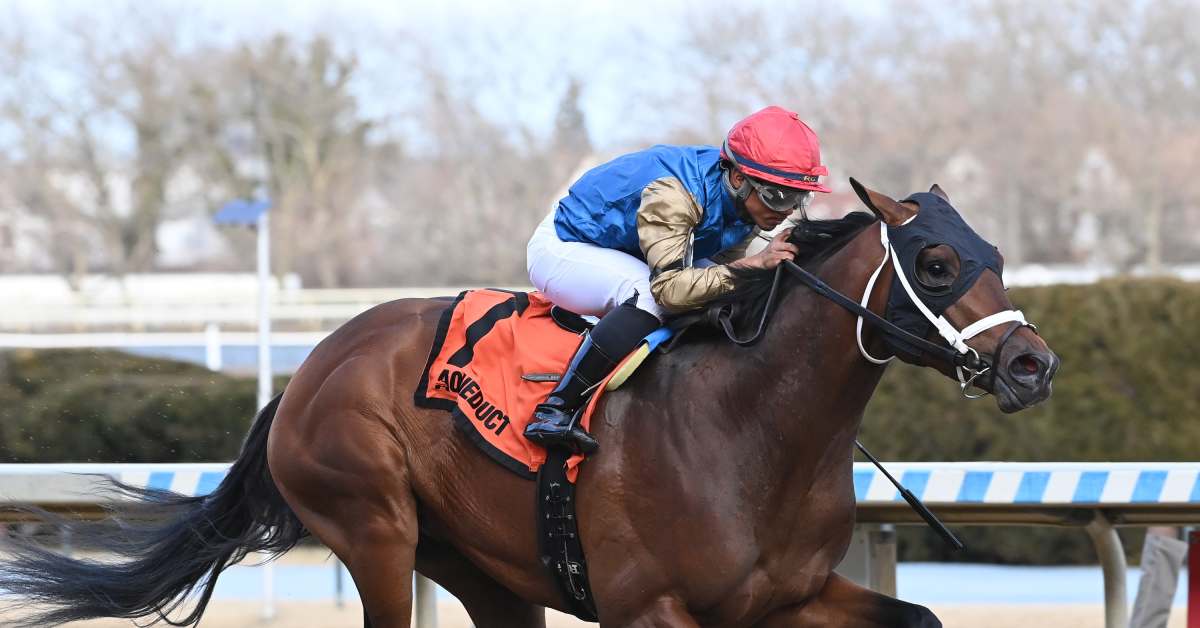 Gotham Winner Flood Zone Among Contentious Cast For Maxfield - Paulick ...