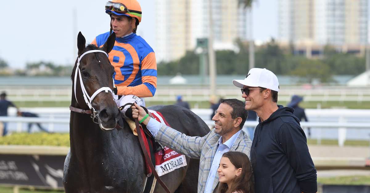 Mindframe Launches Return With Gulfstream Park Mile Triumph - Paulick ...