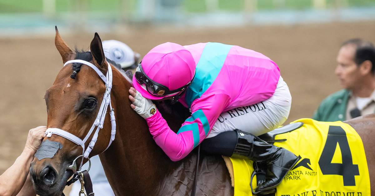 Formidable Man Bids For Third Grade 1 Triumph In Shoemaker Mile ...