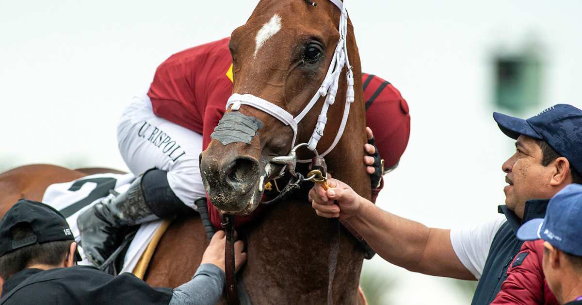 Journalism, Citizen Bull Meet For First Time In Five-Horse Santa Anita ...