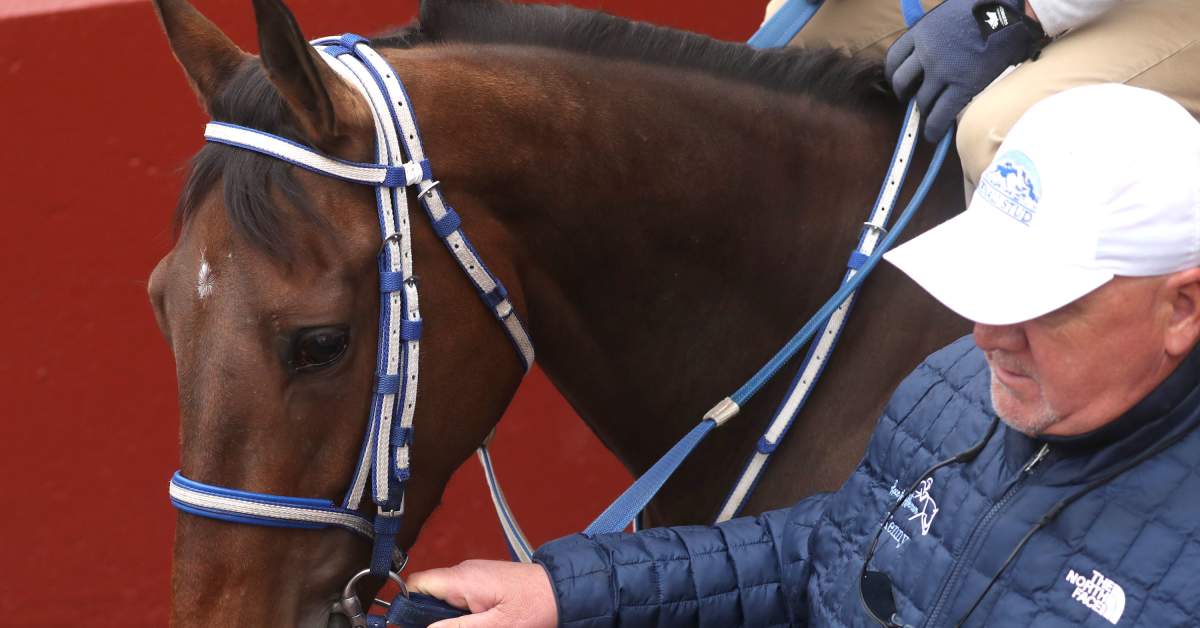 Migliore: Horses Like Thorpedo Anna 'Make Us Remember Why We're Fans ...