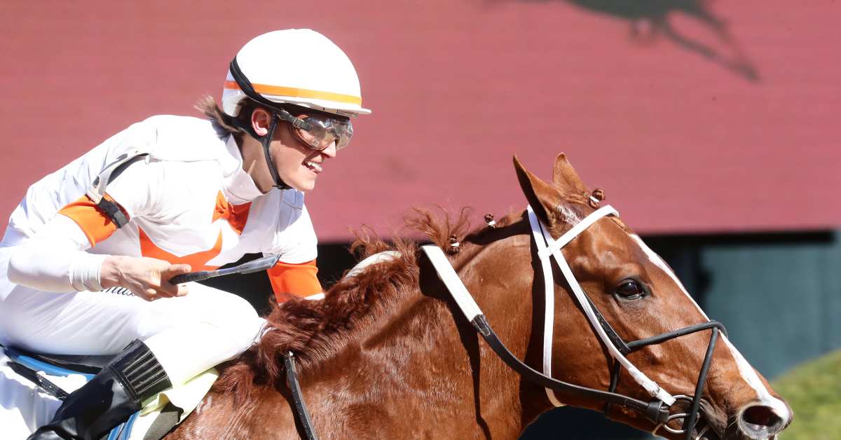 'He Was Flying': Whitmore Stakes Morning-Line Favorite Booth Comes Off ...