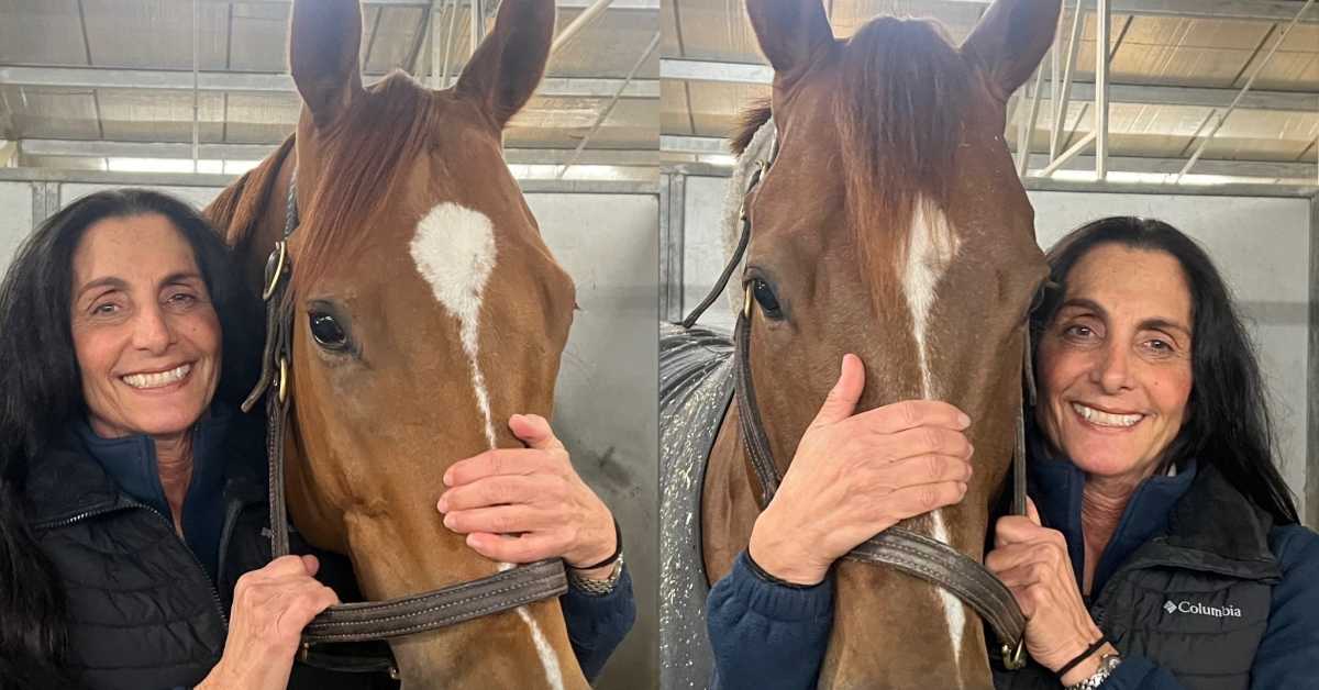 Mirror Image: How Two Full-Brother Racehorses Kept A Family Memory ...