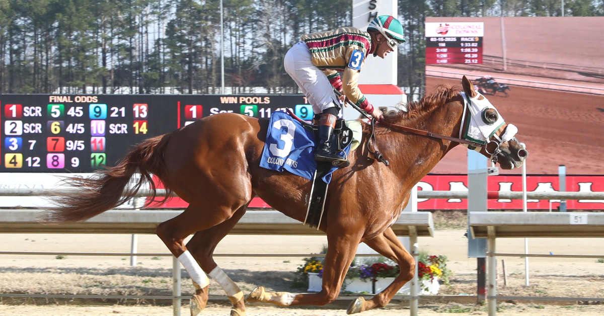 Bloodlines Presented By Walmac Farm: American Promise Delivers On His ...