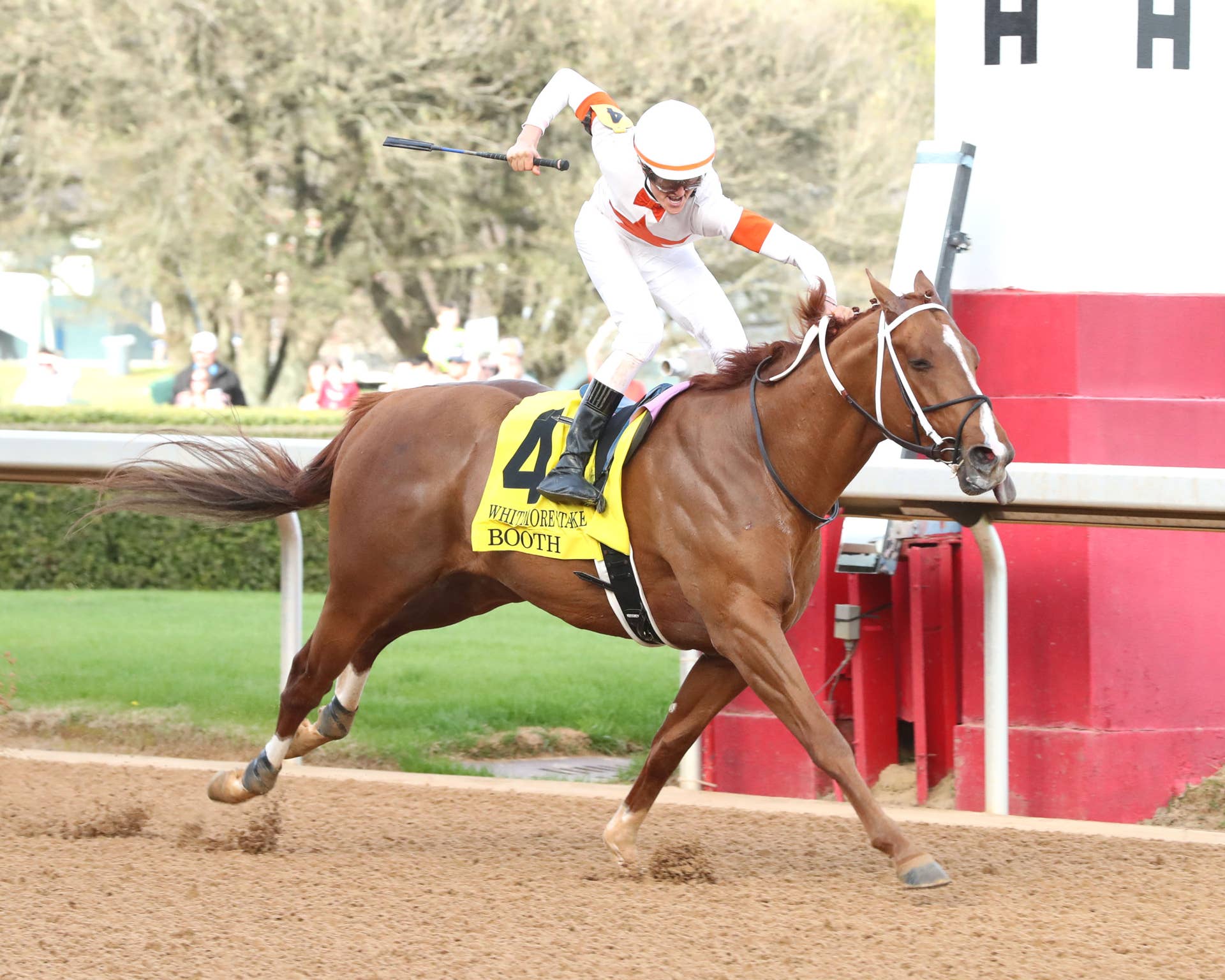 Connections Hope Booth Can Follow Mitole's Hoofprints In Count Fleet ...