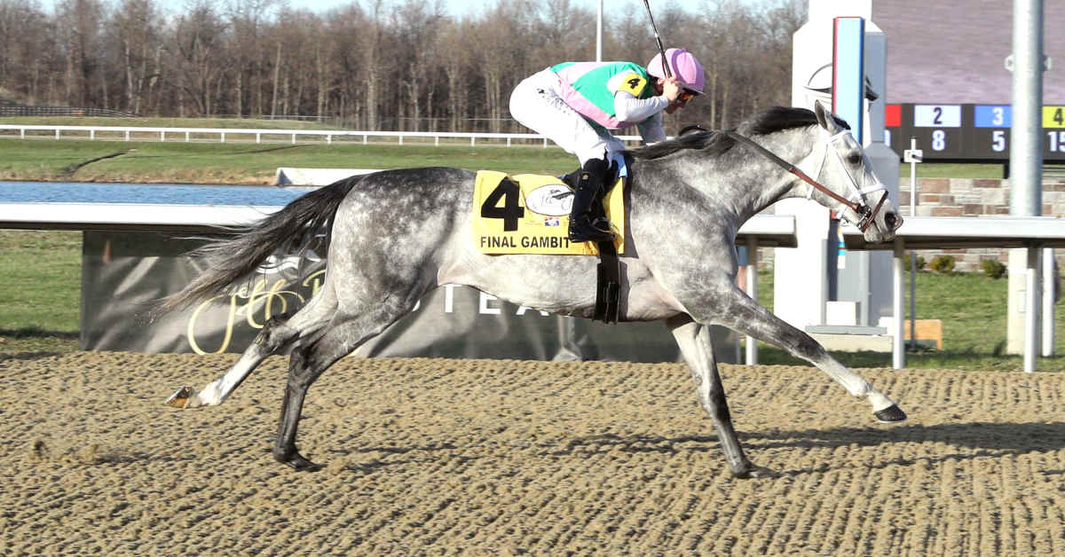 Final Gambit Set For Inaugural Last Hurrah In Turfway Park Return ...