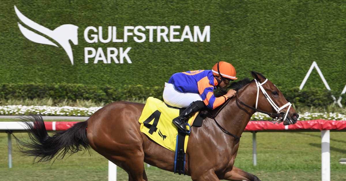 Jose D’Angelo Has Stakes-Winning Pair For Saratoga's Coronation Cup ...