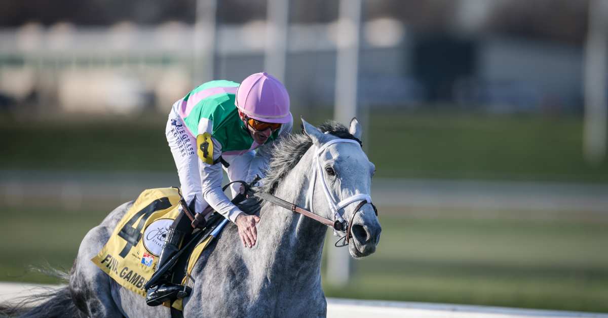 Bloodlines Presented By Walmac Farm: A Traditional Juddmonte Pedigree ...