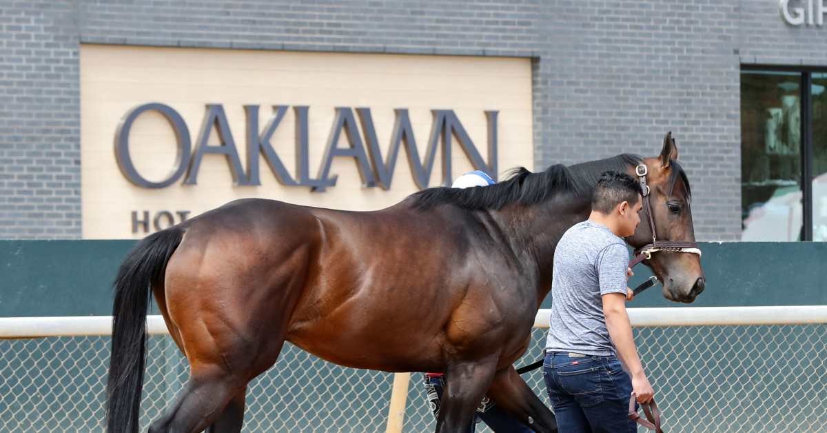 Oaklawn Park Will Host Four-Day Weeks, Reduce January Footprint In 2026 ...