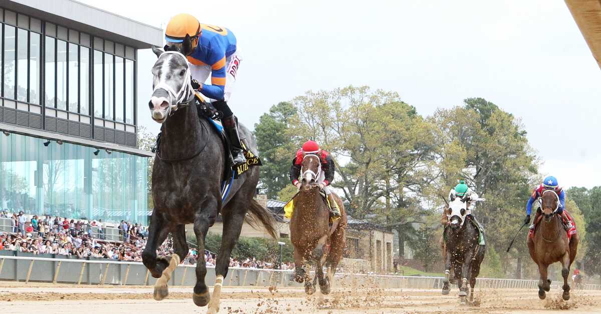 Promising Juveniles Ready To Roll At Oaklawn On Saturday - Paulick ...