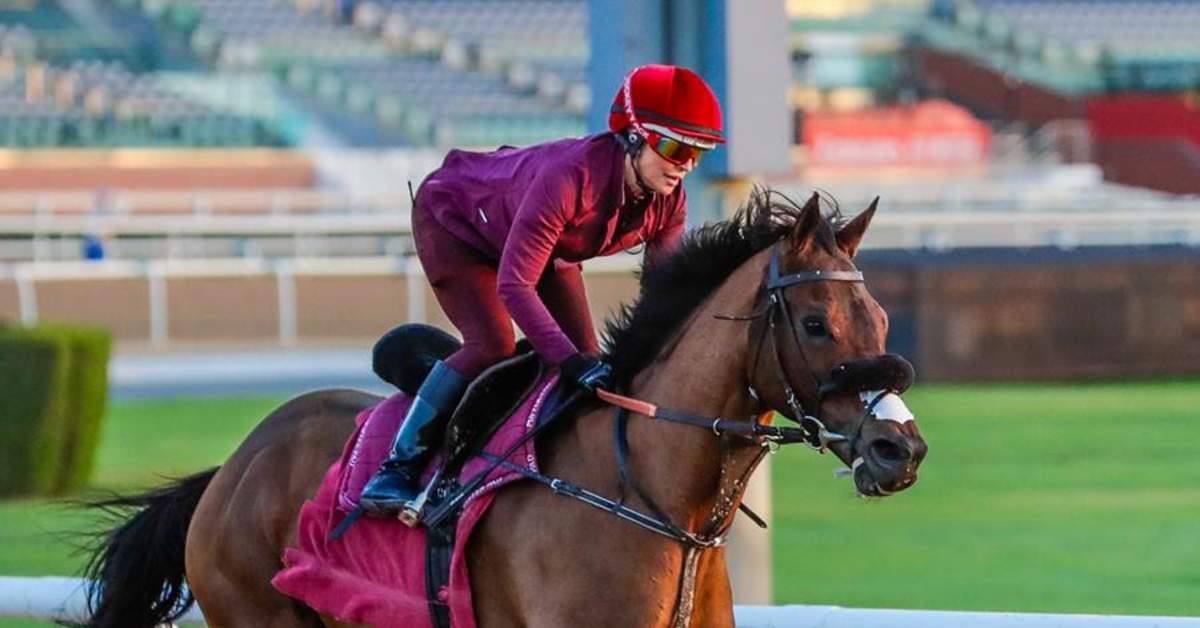 'Huge Opportunity': Chantal Sutherland To Ride Super Chow In Dubai ...