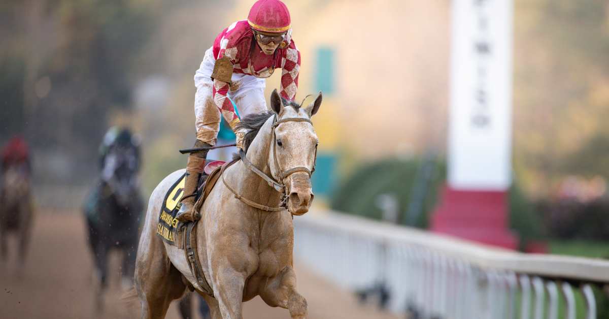 Watch: Mark Casse Updates On Kentucky Derby Contender Sandman - Paulick ...