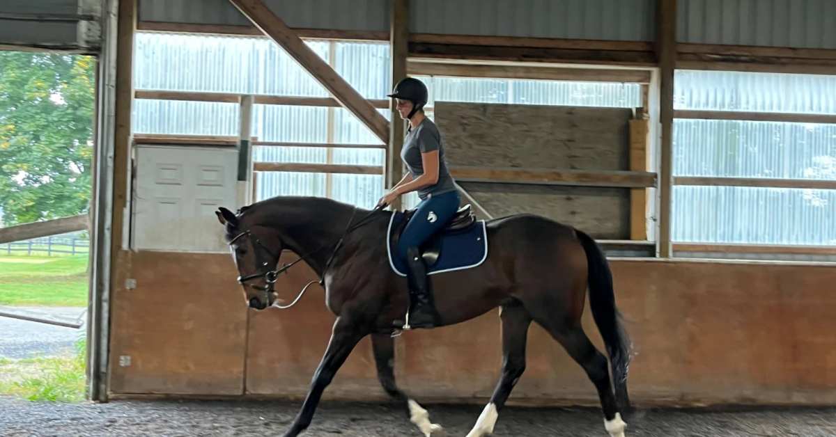 Millet Helps The Industry Answer The Question 'What's Next?' At LongRun ...