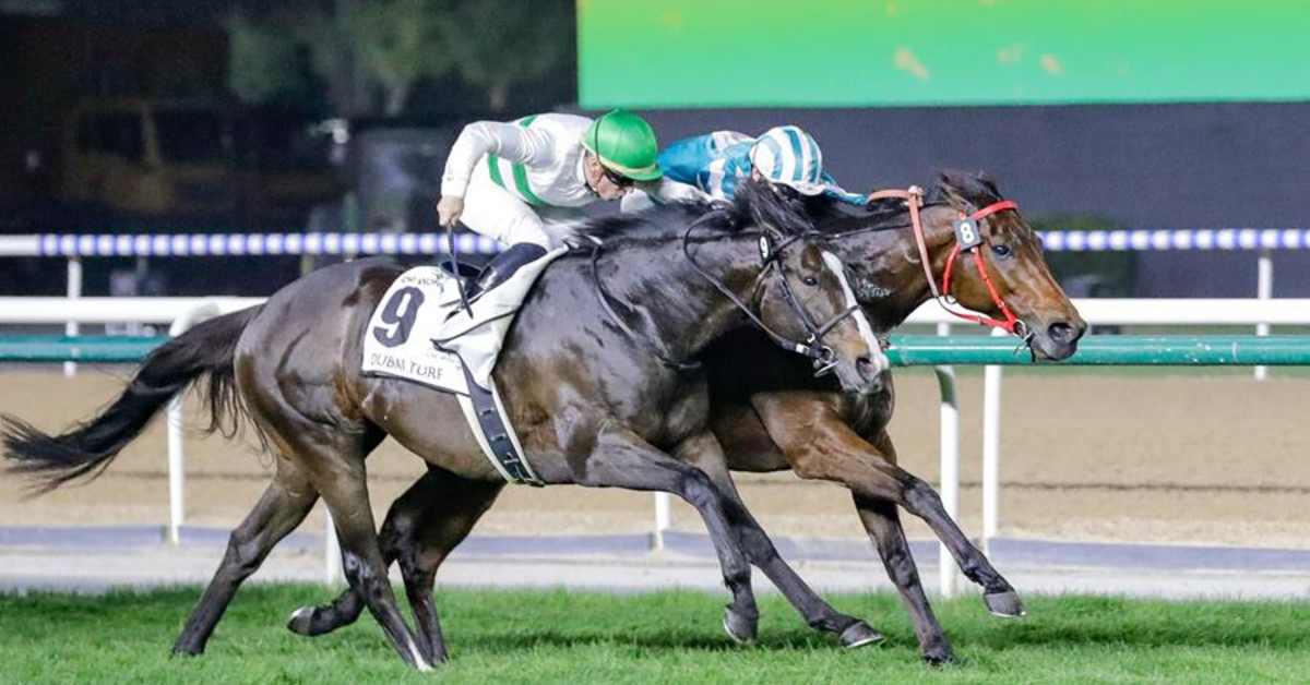 Dubai Turf Winner Soul Rush To Miss Summer Season With Splint Fracture ...