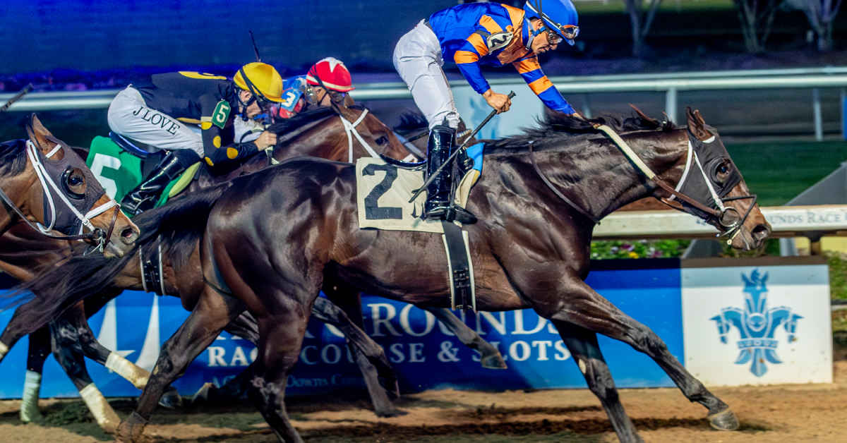 Gun Runner Winner Chip Honcho Draws Outside Post For Lecomte - Paulick ...