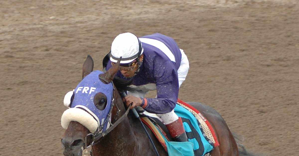 ‘A Perfect Ambassador’: Millionaire Naughty New Yorker Thriving At Old ...