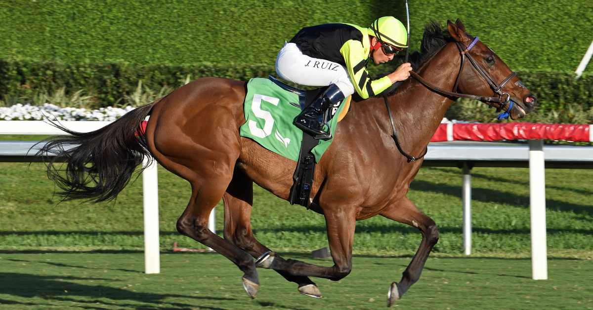 'Finally Coming Into Herself': No Show Sammy Jo Convincing In Via ...