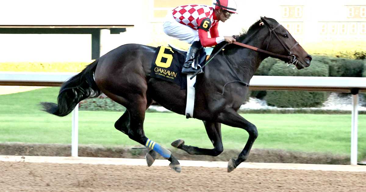 Pippin Victory Gives Standoutsensation Back-To-Back Stakes Scores ...