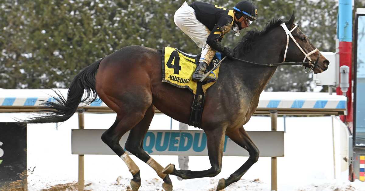 Full Screen Rules Aqueduct's Queens County - Paulick Report | Latest ...