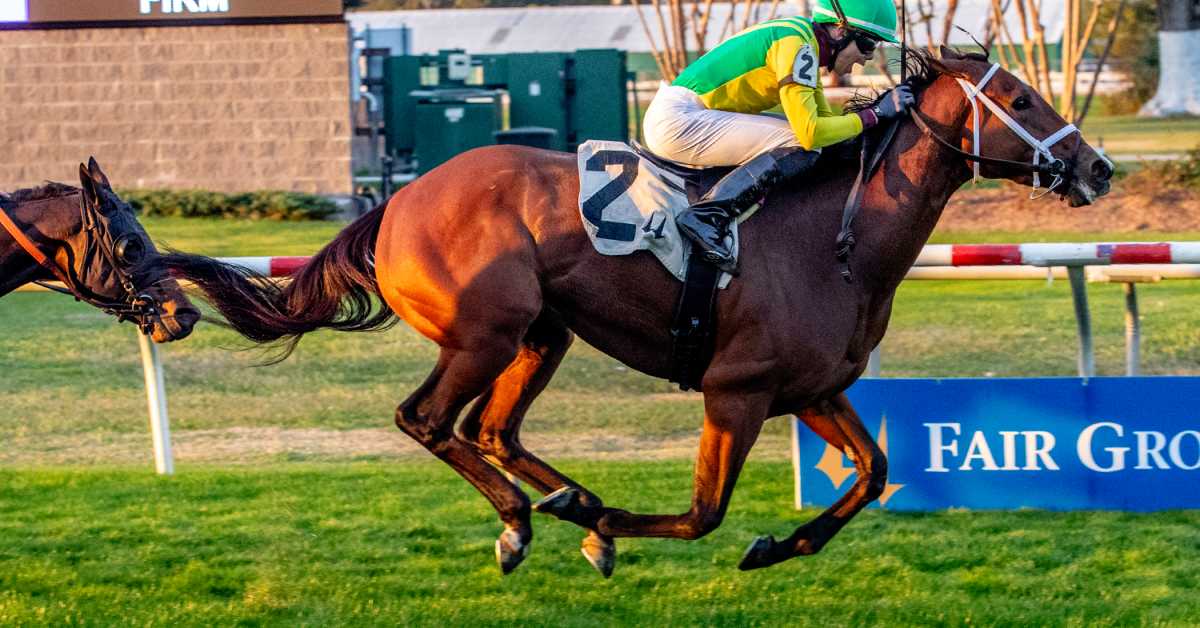 Hear The Queen Strikes Pago Hop Win In Stakes Debut - Paulick Report ...