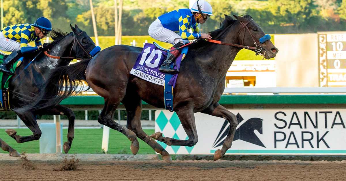 Goal Oriented Leads 1-2 Bob Baffert Malibu Finish Despite Scratch Of ...