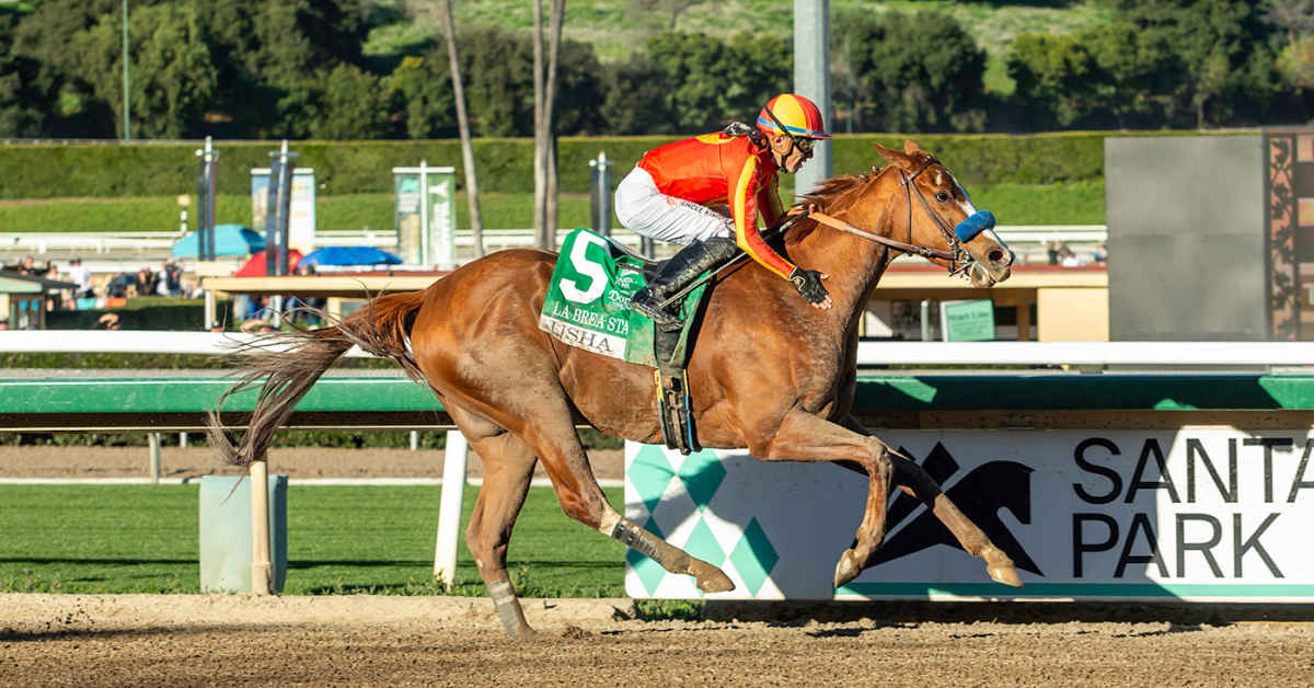 'Today She Showed Up': Usha Dazzles In La Brea - Paulick Report ...