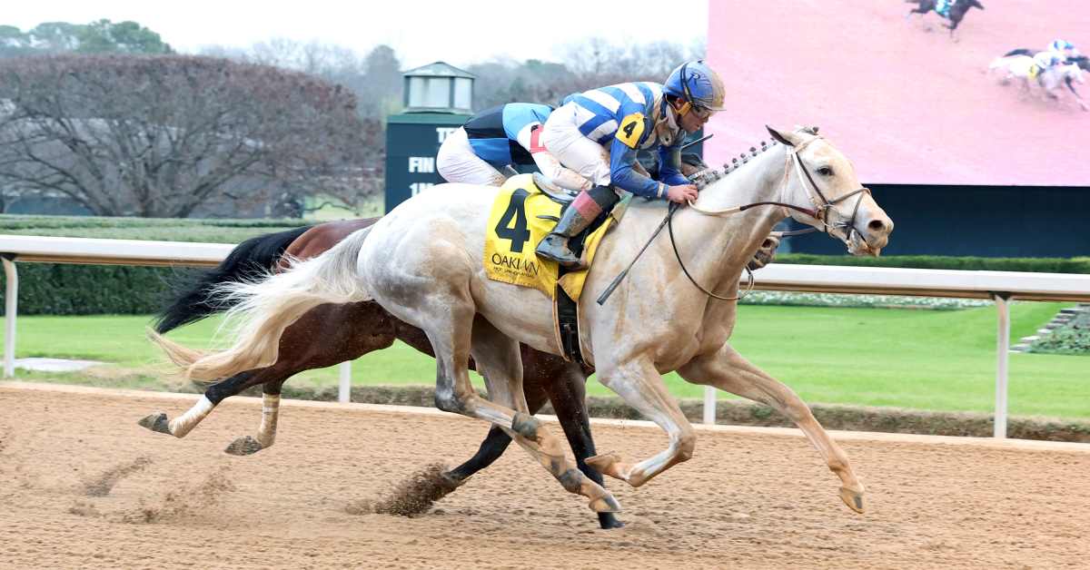 Tap Into This Runs Down First Division To Win Inaugural The Coach ...