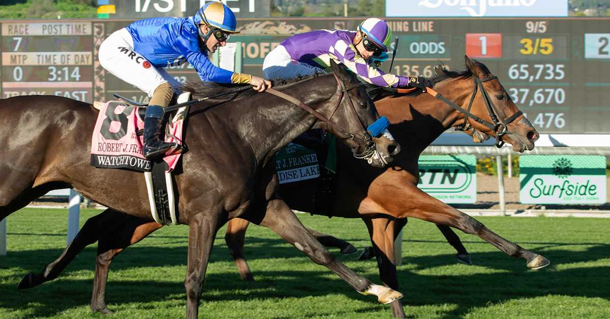 'No Bigger Than A Greyhound,' Paradise Lake Noses Out Starry Night In ...