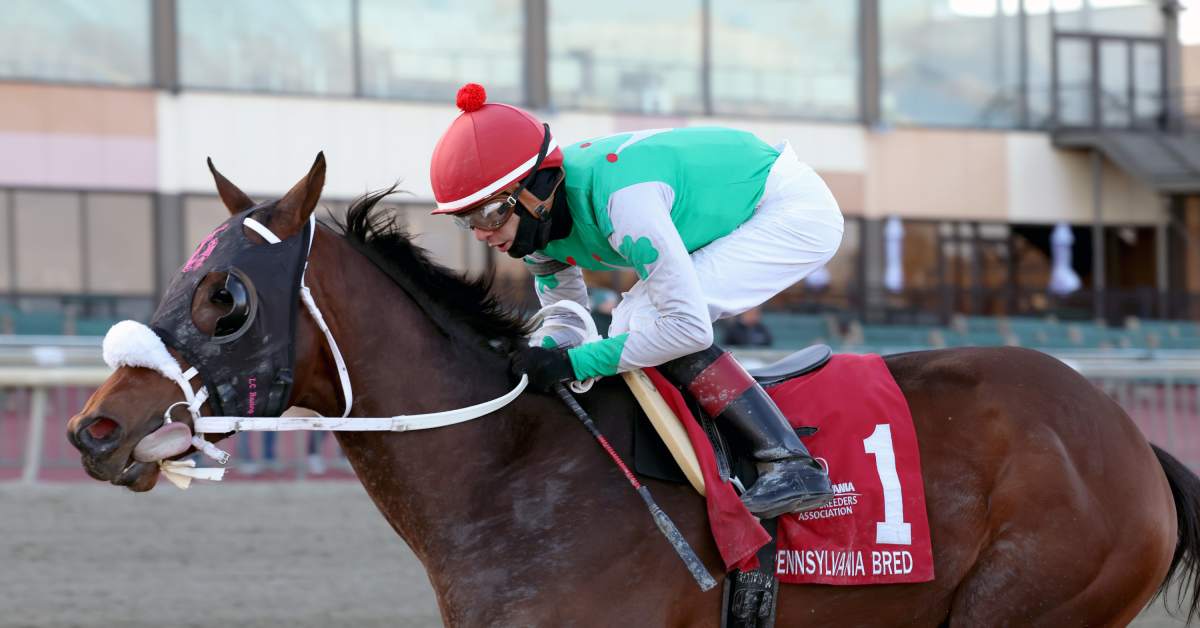 Mailata Could Be Aimed For Gotham Off 19-Length Parx Romp - Paulick ...